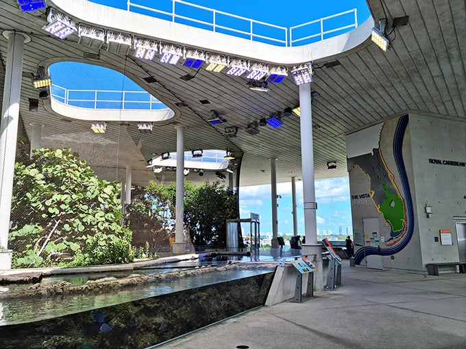 The museum's terrace offers a tranquil space where visitors can reflect on new discoveries while enjoying Miami's perfect weather.