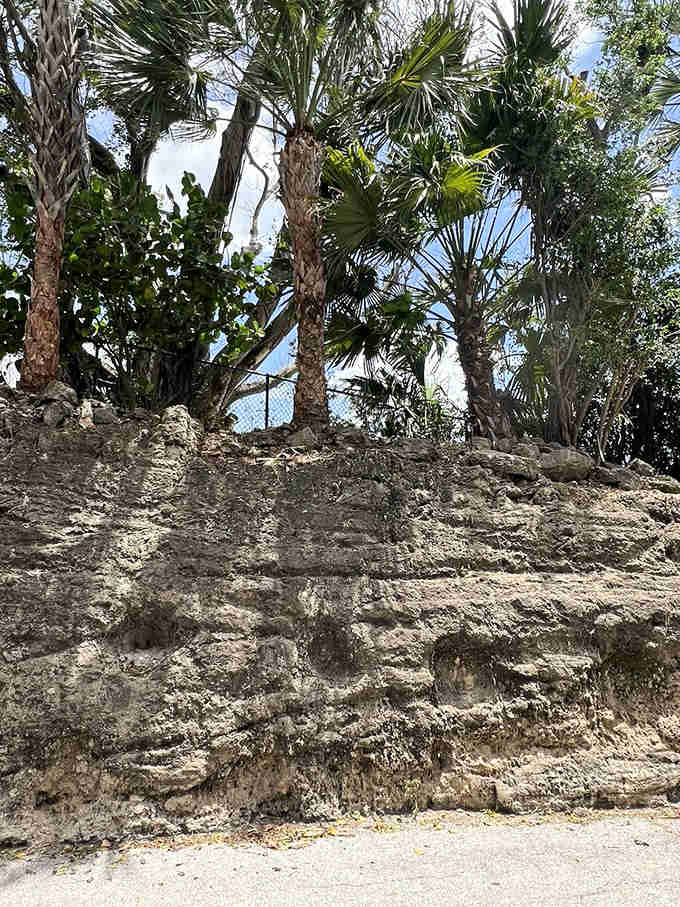 Afternoon light plays across the textured cliff face, highlighting the intricate patterns formed over countless centuries of natural processes.