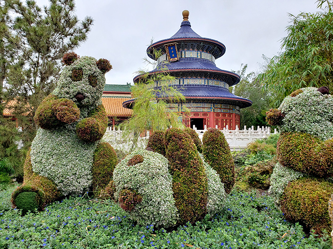 Even the Chinese pavilion next door gets into the British spirit with these adorable panda topiaries. A horticultural East-meets-West moment!
