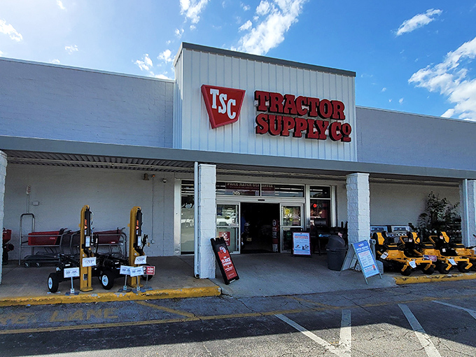 Where city slickers and genuine farmers alike find everything from chicken feed to surprisingly comfortable rocking chairs.