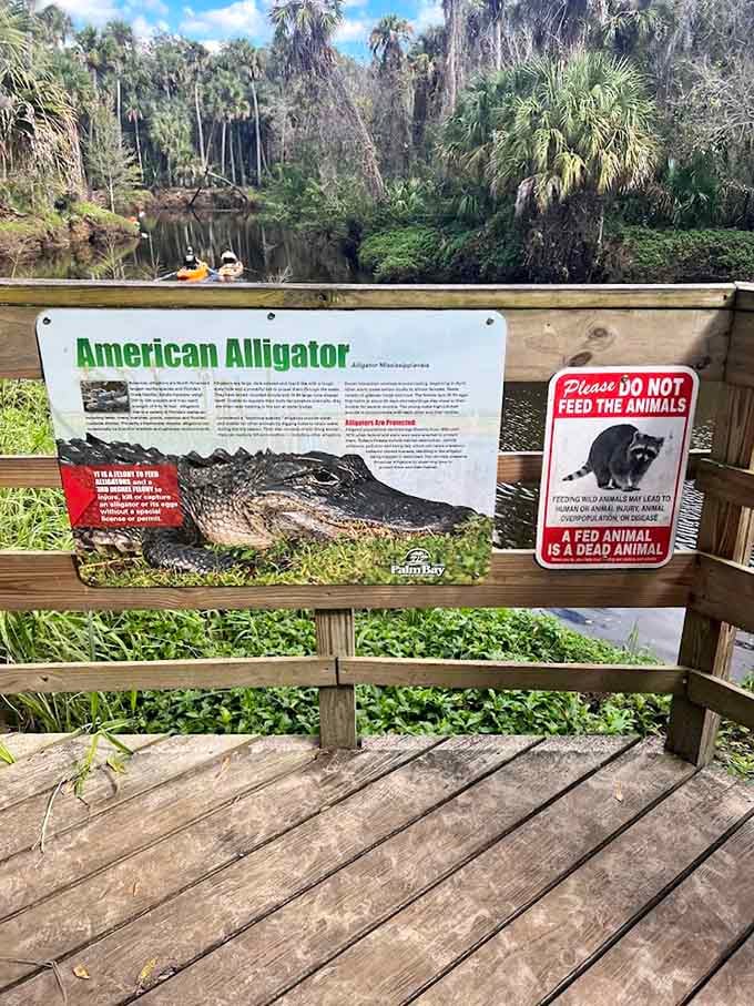 Educational signs explain the local ecosystem with enough detail to make you sound smart at dinner parties without requiring an actual biology degree.