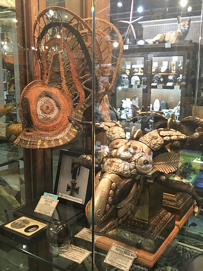 Cabinet of curiosities: From intricate sea fans to ornate skulls, these artifacts blur the line between science and art.
