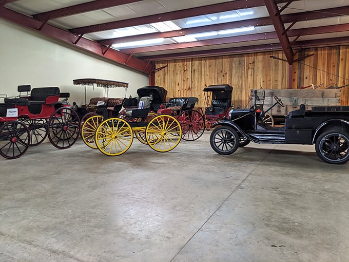 From elegant carriages to early automobiles, this collection shows how Floridians' transportation methods evolved through generations of innovation.