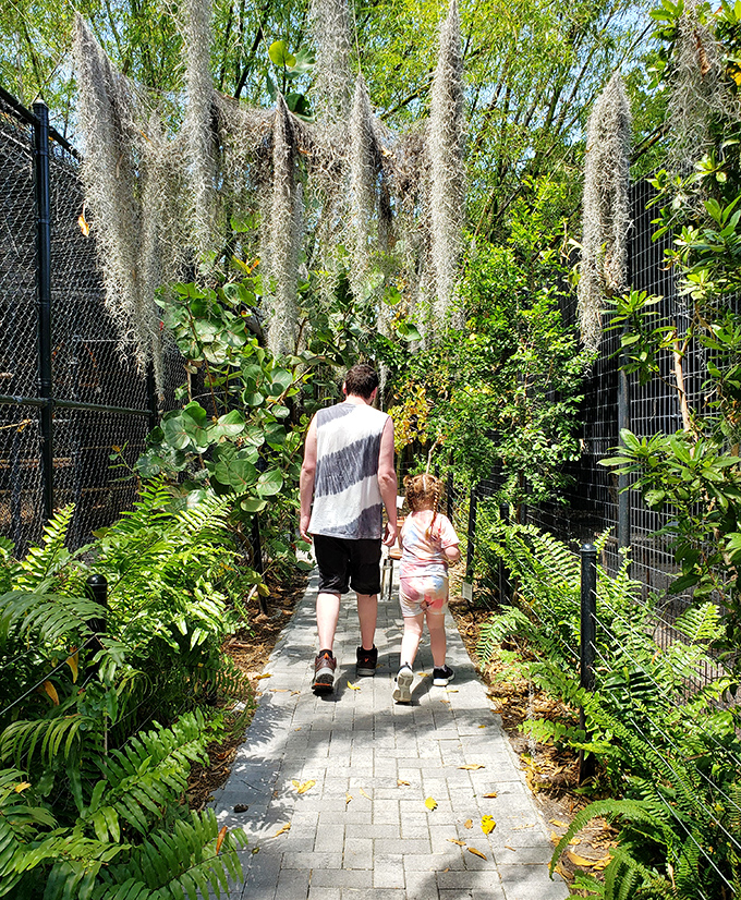 Generations connect through shared discovery as visitors wander beneath Spanish moss draped like nature's own decorative curtains.