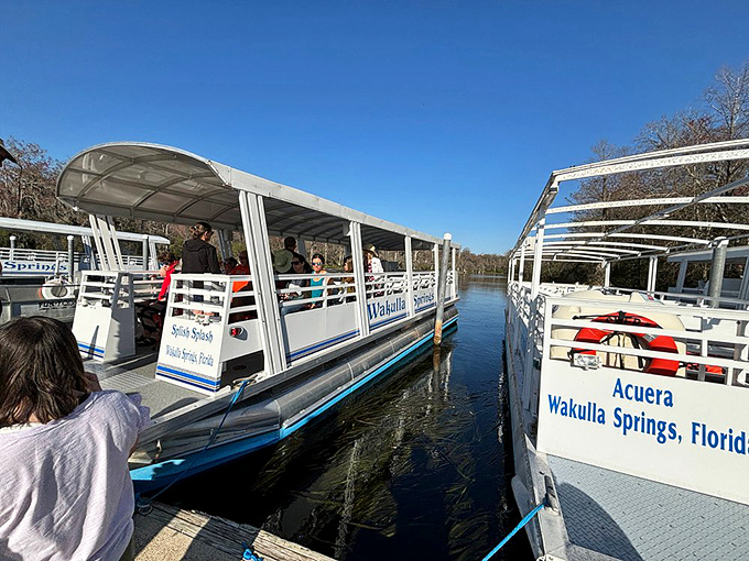 All aboard the floating classroom! Visitors gather for a river safari where every bend brings new wildlife encounters.