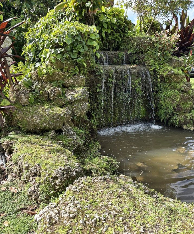 This serene waterfall creates a peaceful soundtrack for your botanical adventure, nature's own meditation app.
