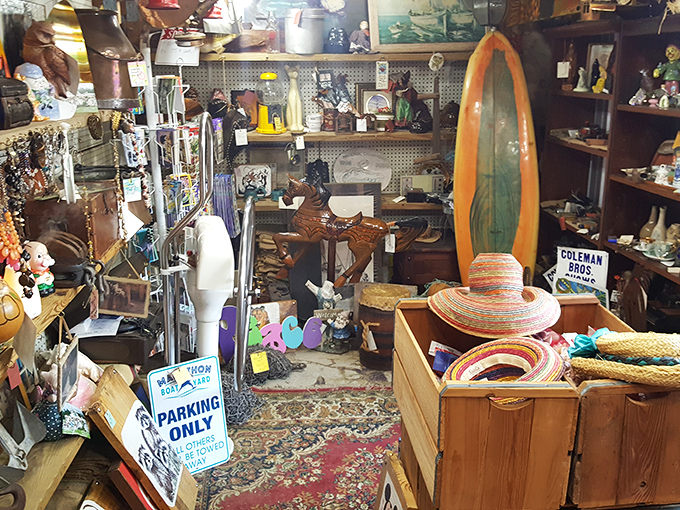 Every shelf holds potential treasures or regrettable purchases, depending entirely on your personal taste and decorating philosophy.