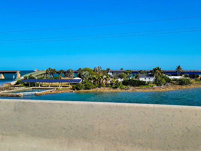 A glimpse of island life from the bridge—where history and tropical beauty create Florida's most perfect hidden gem.