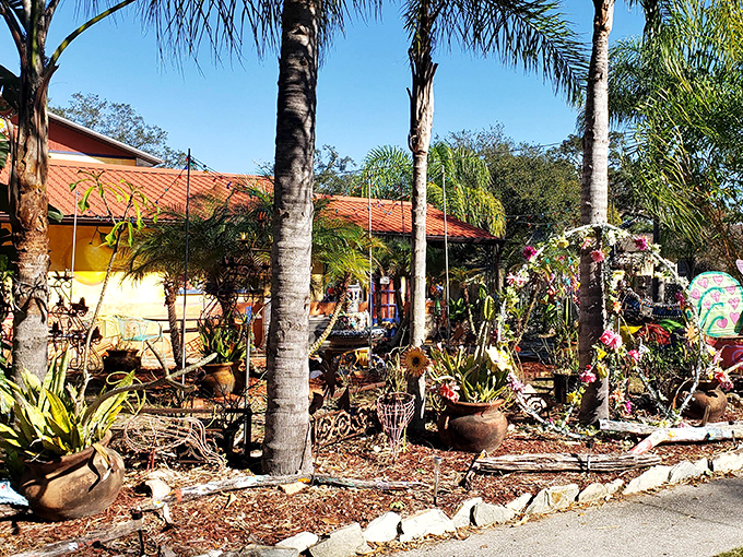 The wider view reveals a property where conventional landscaping went on vacation and never bothered to come back.