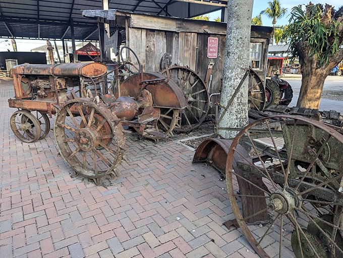Rusty relics of farming's past stand as silent witnesses to agricultural history, their weathered wheels and gears telling stories of Florida's pioneering days.