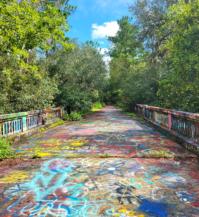 The foreground bursts with artistic energy, creating a frame that draws the eye toward the natural beauty beyond.