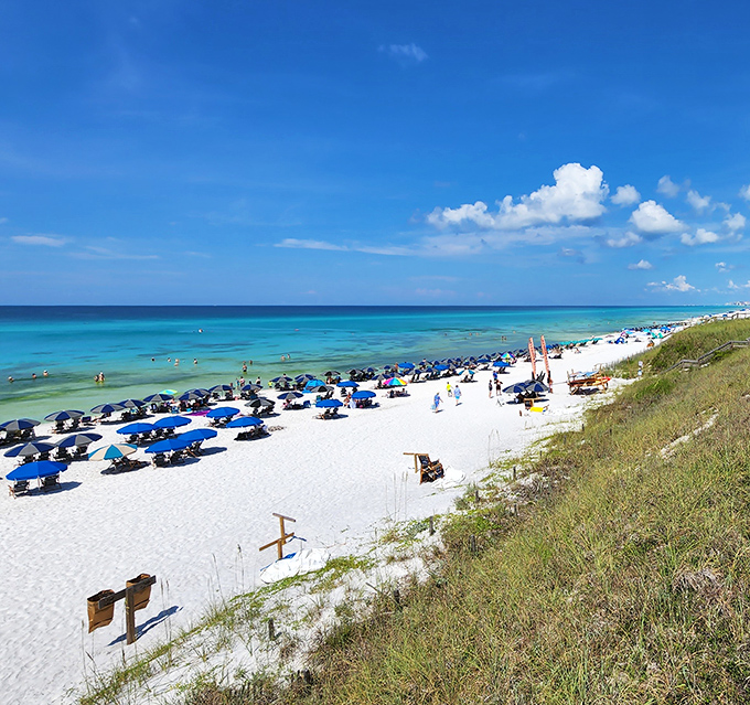 Santa Rosa Beach stretches out like nature's welcome mat, inviting visitors to kick off their shoes and stay awhile.