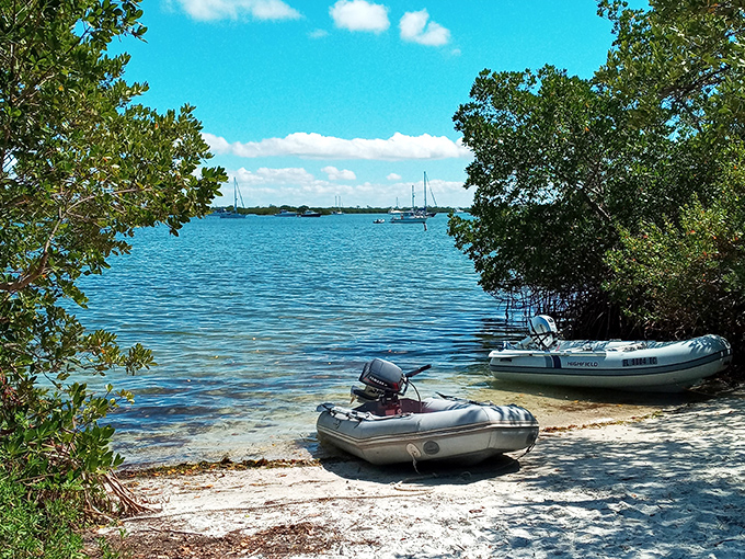 These humble vessels await their next adventure, ready to ferry explorers through mangrove tunnels and along hidden shorelines.