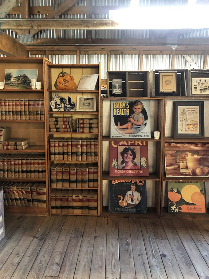 These shelves hold knowledge from an era when books were treasured possessions, not just digital files to be downloaded and forgotten.