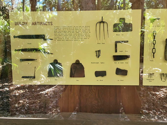 Historical artifacts display reveals the tools that shaped plantation life, from farming implements to everyday household items.