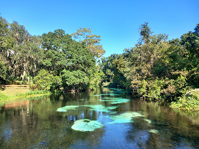 Nature's mirror reflects a perfect day &ndash; this calm river carries not just boats but also the dreams of everyone seeking tranquility.