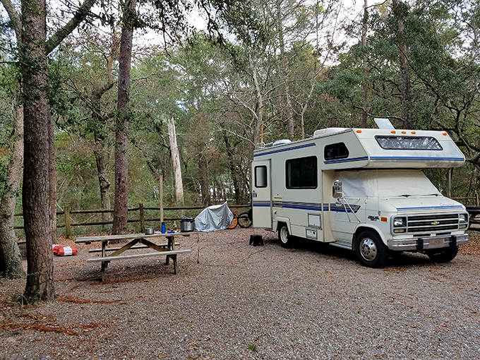 Home sweet temporary home &ndash; this cozy campsite offers the perfect basecamp for multi-day park adventures.