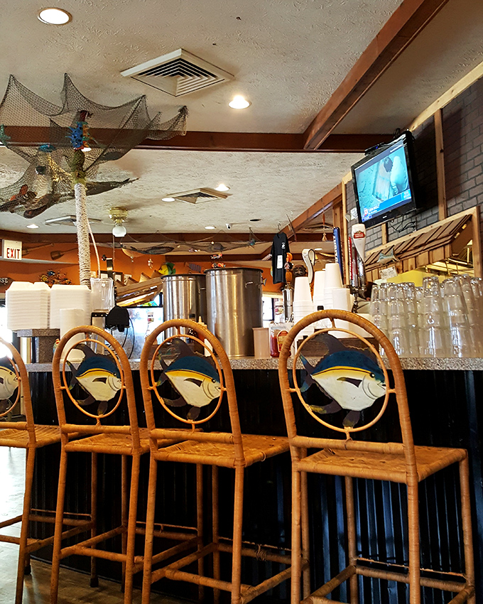 Rattan chairs with fish motifs line the counter, inviting solo diners to perch and watch the kitchen magic unfold before their eyes.