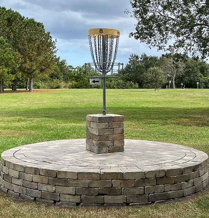 Chain reaction: This disc golf basket stands ready to receive flying discs and validate hours of practice with the satisfying sound of chains announcing a successful putt.