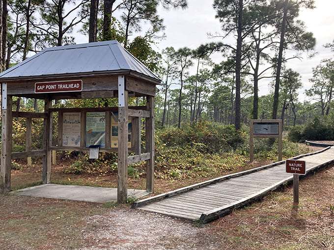 Gap Point Trailhead: Where civilization politely steps aside to let wilderness take the spotlight. Adventure begins at the edge of comfort.