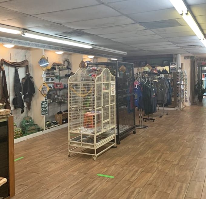 The gift shop offers everything from educational materials to quirky souvenirs that let you take a piece of the swamp home.