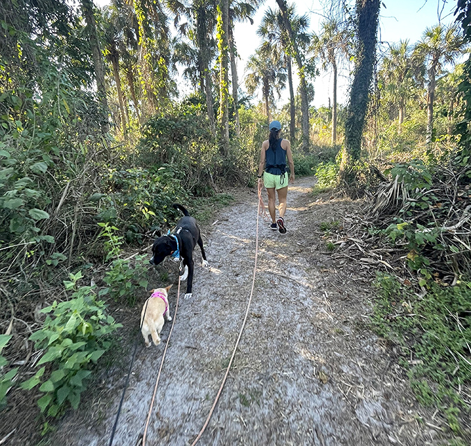 Walking these trails with furry companions – where every sniff tells a story about Florida's wild past and present.