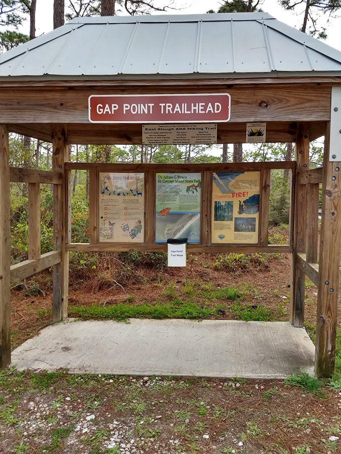 Knowledge is power: The park's information kiosk offers insights into local wildlife and ecosystems for curious explorers.