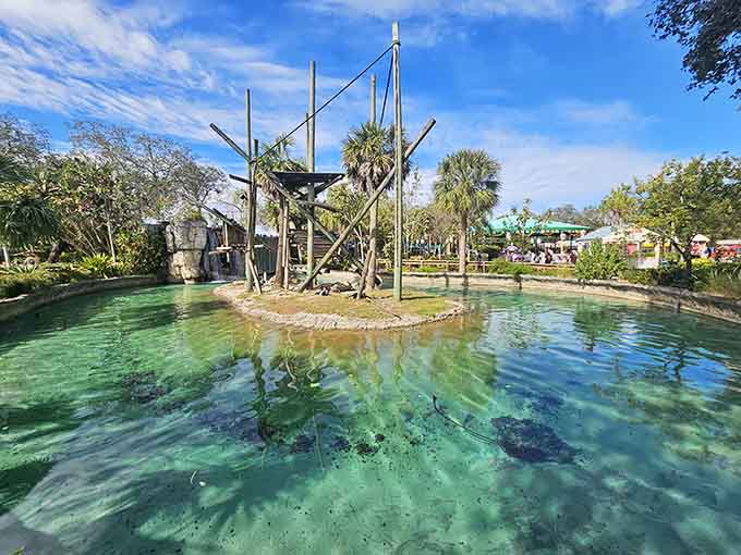 Inside ZooTampa, the pathways wind through habitats that showcase wildlife from around the globe, creating an immersive experience that educates while it entertains.