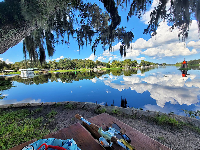 Waterfront relaxation: Beneath Spanish moss chandeliers, this shoreline picnic area offers front-row seats to nature's daily performance.