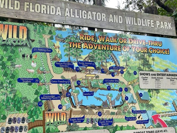 This detailed park map reveals the scope of Wild Florida's attractions, helping visitors plan their perfect day of airboat rides and animal encounters.