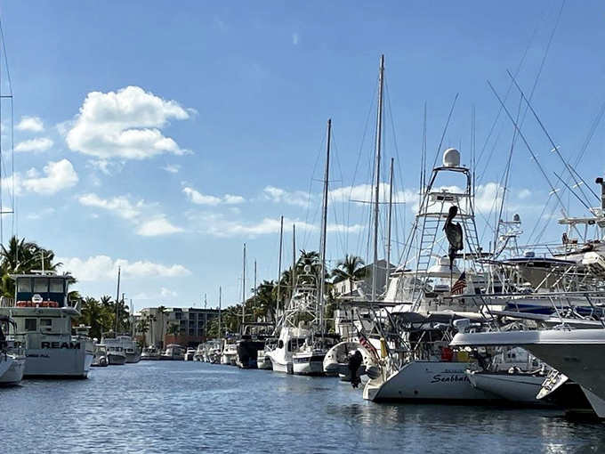 A forest of masts and antennas creates a nautical skyline, while the African Queen's simple silhouette speaks of simpler times.