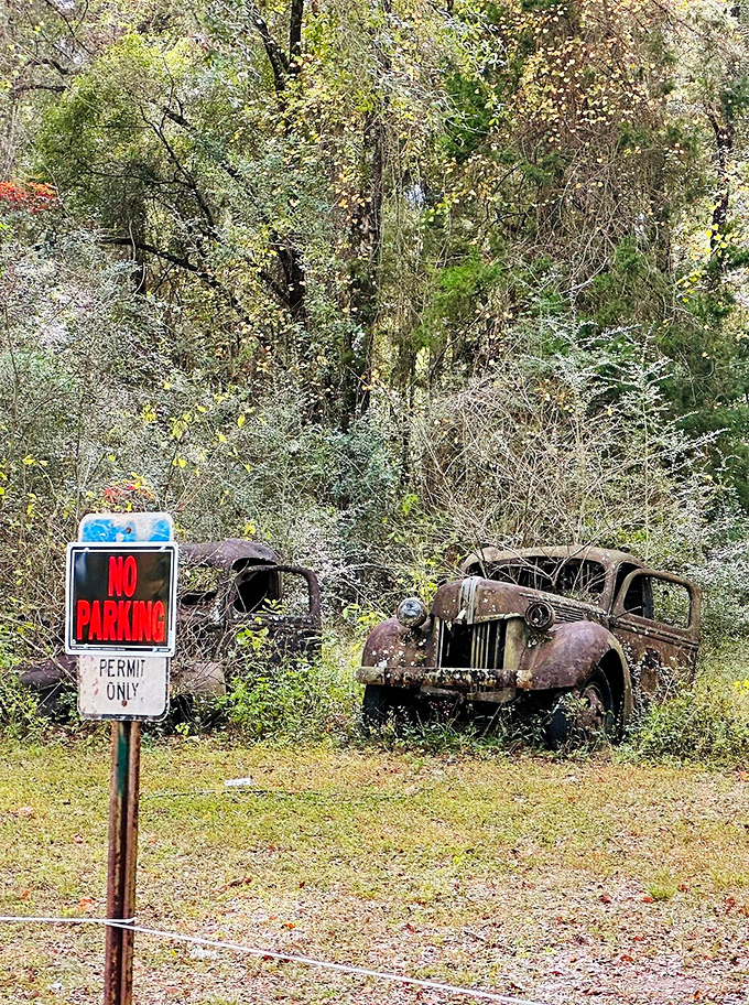 The ironic "No Parking" sign stands guard over vehicles that haven't moved in decades, creating an unintentionally hilarious commentary on permanent parking.