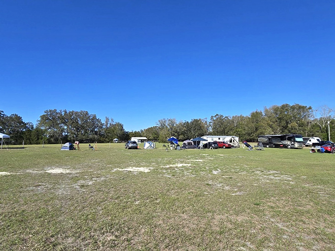 By day, a peaceful field; by night, a gathering place for those who speak the universal language of astronomy.