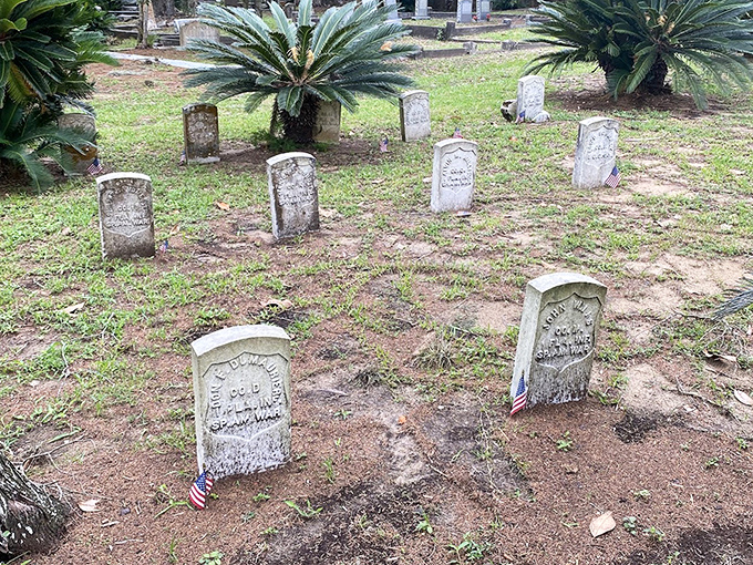 Small American flags mark the graves of those who served, a colorful tribute against the weathered stone of sacrifice.