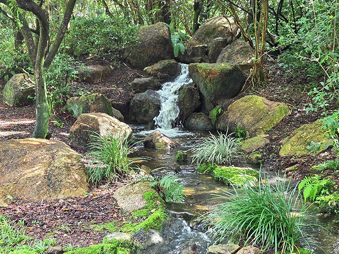 Water finding its path of least resistance &ndash; nature's way of suggesting we all chill out a bit.