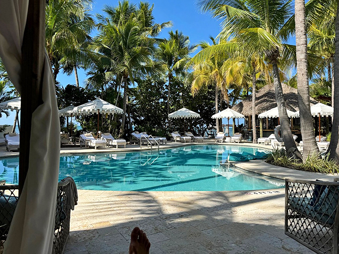 The swimming pool gleams in the tropical sunlight, surrounded by palm trees standing at attention like natural lifeguards.