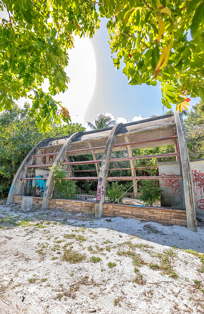 Sunlight streams through the skeletal remains of what was once a thriving animal enclosure, nature's spotlight illuminating the passage of time.