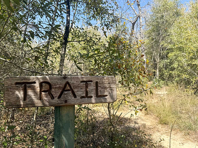 The most polite warning in the forest—straying from this trail means missing the carefully curated geological story that Devil's Millhopper wants to tell.