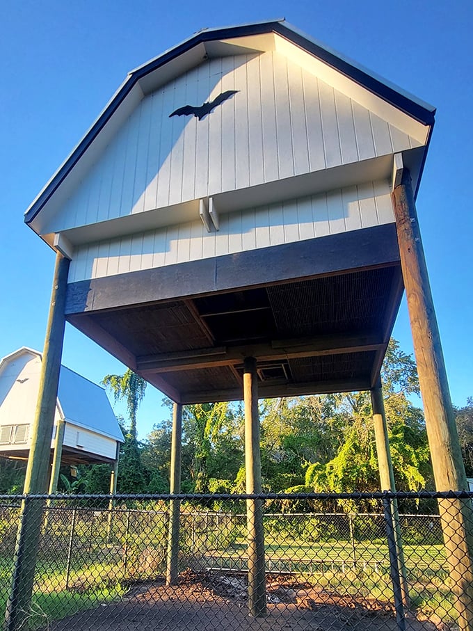 Up close, each bat house reveals thoughtful design elements that make these structures perfect homes for their tiny residents.