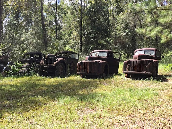 Rusted relics of bygone days rest among the greenery, slowly being reclaimed by the forest they once traversed.
