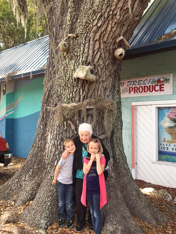 Three generations smile beneath the attraction's iconic tree, which has been silently witnessing family memories for decades while sporting a face of its own.