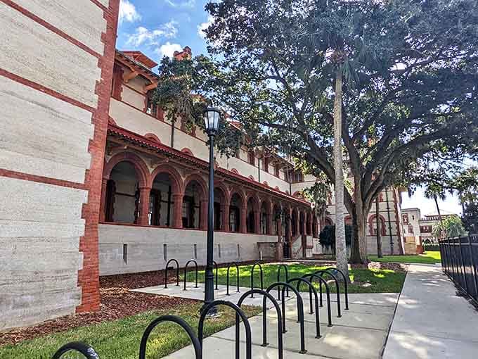 Campus walkways lined with native plants create picturesque paths between buildings, blending Florida's natural beauty with architectural precision.