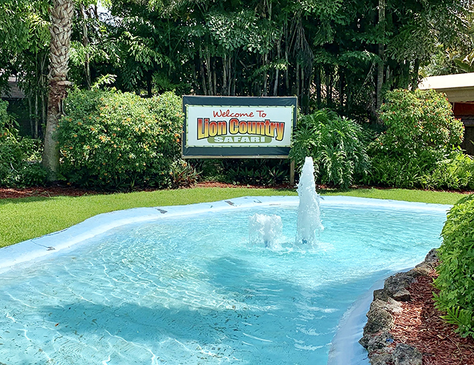 The welcome sign's bubbling fountain offers a refreshing preview of watery delights ahead &ndash; nature and splash zones in perfect harmony.