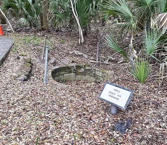 This humble well once quenched a plantation's thirst, now a stone circle marking where hands labored to draw life.