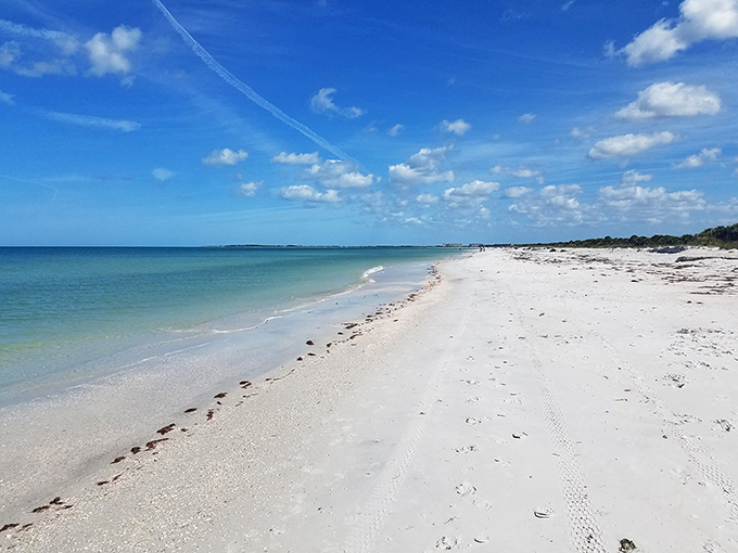 Three miles of undeveloped shoreline stretch into the distance, a rare treasure in a state where beachfront often means high-rise.