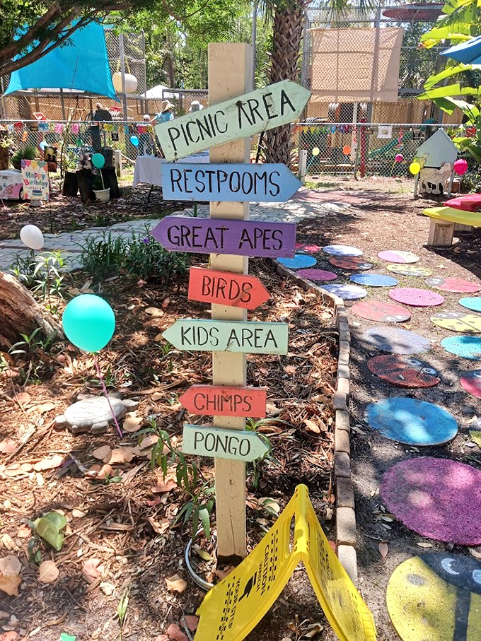 Wooden directional sign: "This way to adventure!" Colorful signposts point visitors toward memorable encounters while adding whimsical charm to the sanctuary experience.