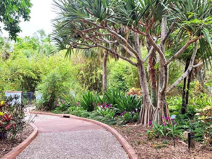 Tropical plants create a jungle pathway that makes you forget you're still in Florida.