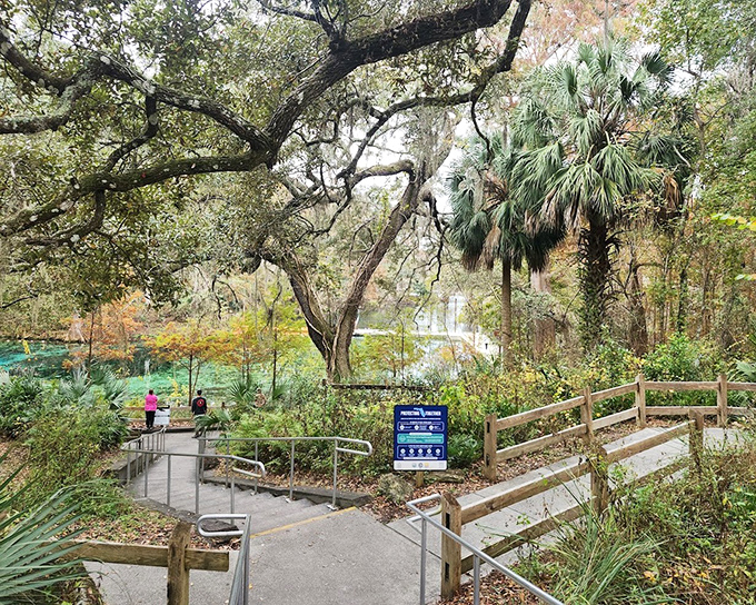 Access Path: The anticipation builds with each step down this concrete pathway leading to aquatic adventures in crystalline waters below.