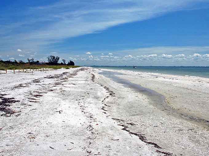 Algiers Beach: Sea oats dance in Gulf breezes along this quieter stretch of paradise where nature still calls the shots.