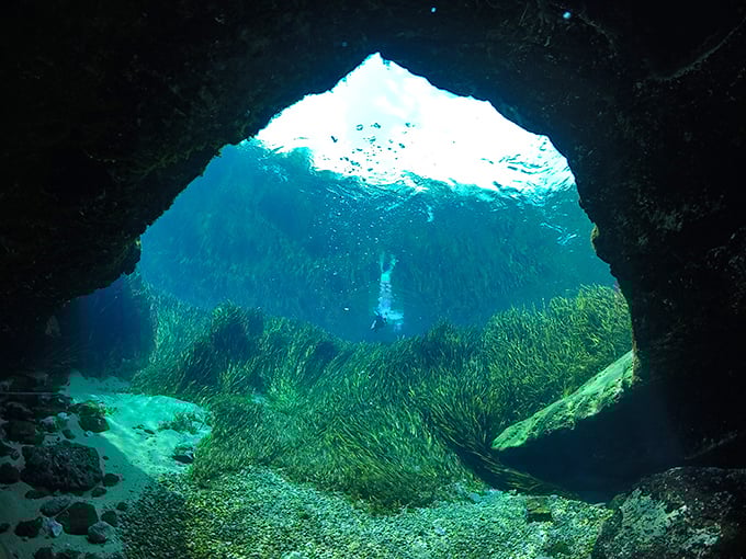Another glimpse into the underwater cave system reveals why certified divers travel from around the world to explore these passages.